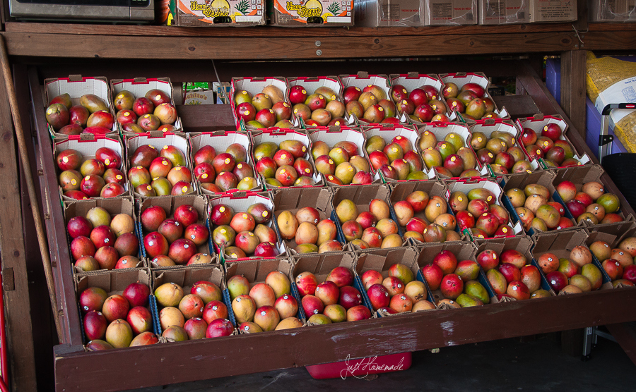 Canino Produce : Farmer's market ~ A visit - Just Homemade